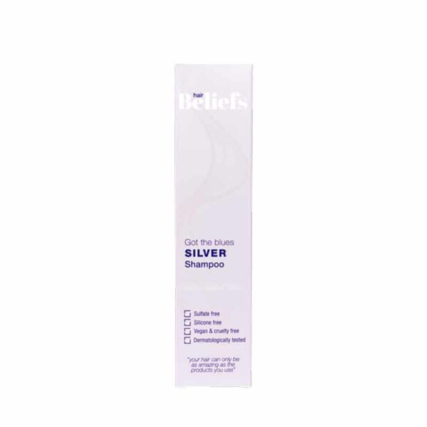Hair Beliefs Got The Blues Silver Shampoo – Curls by M